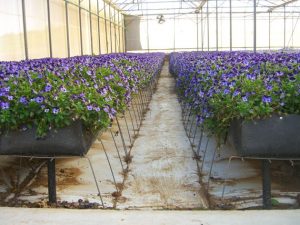 Metal Elevations | Mapal - Horticulture Hydroponics Soilless Drainage ...