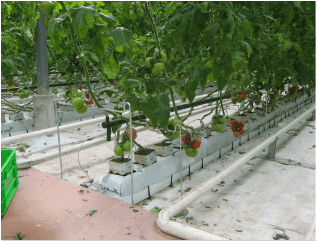 Mapal range of spacers for the Vegetables Growers | MAPAL AGRO